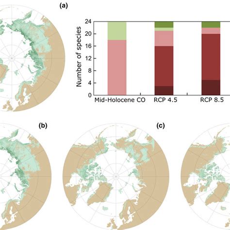 Estimated Species Richness For 24 Arctic Breeding Shorebirds A Download Scientific Diagram