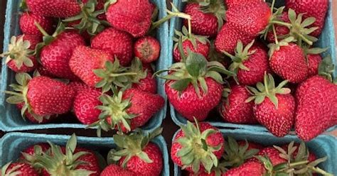 Heeks Farm Discover Durham