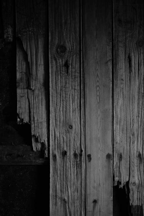 Free Rotten Wood Texture Rotten Wood Wallpaper Rotting Wood Texture