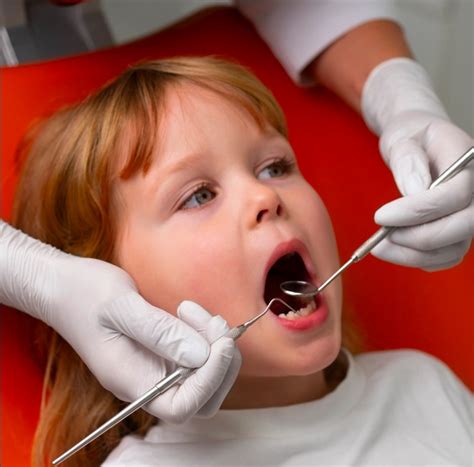 🦷 When Do Deciduous Teeth Fall Out Lema