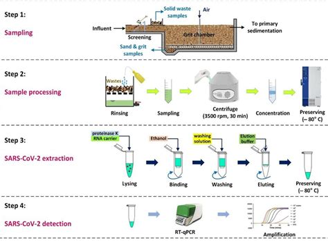 Stepwise Steps For Extracting And Detecting Sars Cov 2 Rna In