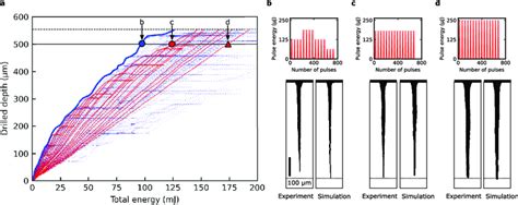 Results Of The Virtual Grid Search And Optimization A Visualization Of Download Scientific