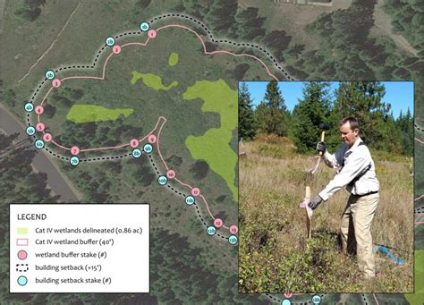 Wetland Buffer Demarcation Gg Environmental Llc