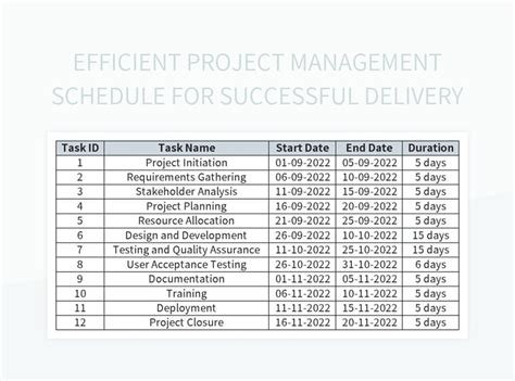 Efficient Project Management Schedule For Successful Delivery Excel Template And Google Sheets ...