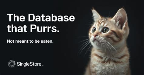 singlestore database realtimedata singlestore