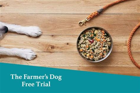 Is There A Free Trial Deal For The Farmers Dog