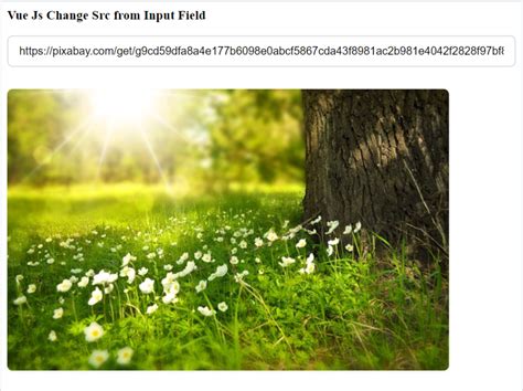 Vue Change Image Src From Input Field Vue Js Example