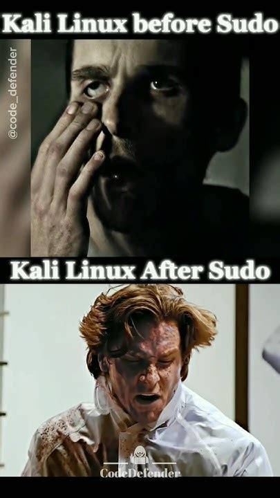Kali Linux Before And After Sudo Command Youtube