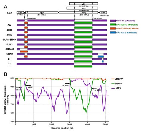 Recombination Analysis Based On Complete Mdpv And Gpv Genomic Sequences
