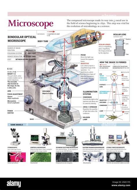Infographics Of The Operation Of A Binocular Optical Microscope And Different Types Of