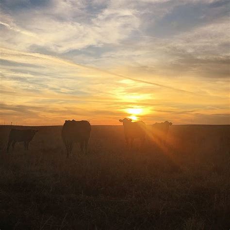 40 Best Sunset Quotes Short Inspirational Sunset Sayings