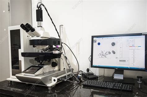 Genetic Metaphase Analysis Stock Image C0190287 Science Photo Library