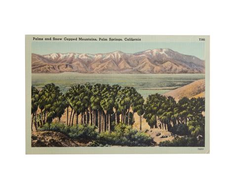Vintage Southern California Postcard Palm Springs San Jacinto Palms