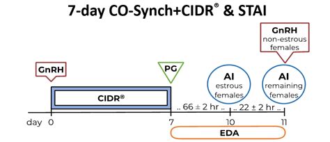 Sexed Semen Protocols Beef Reproduction Task Force