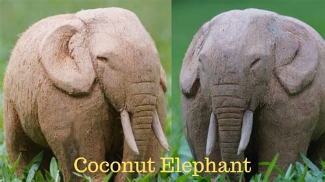 How To Make Coconut Elephant Diy Youtube