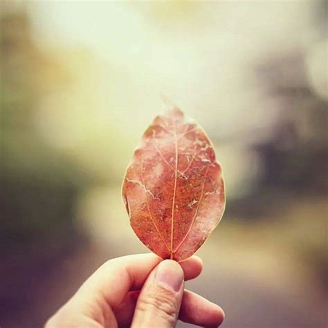 情不敢至深，怕大梦一场。为你翻书·第1888期情绪