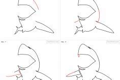Shark Face Drawing At Explore Collection Of Shark