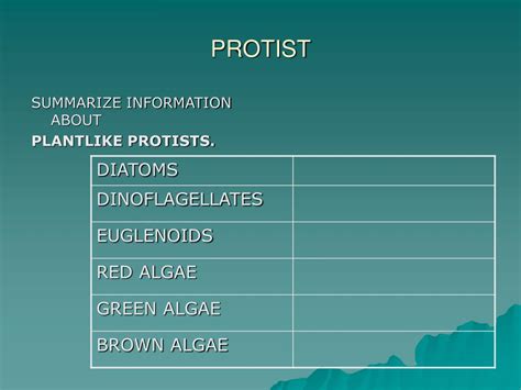 Ppt Protists Powerpoint Presentation Free Download Id 1094882