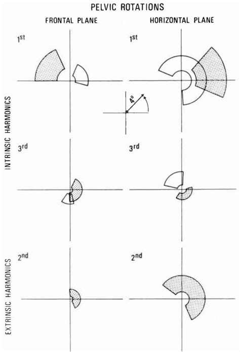 Synthetic Representation Of The Pelvic Horizontal And Frontal Rotations Download Scientific