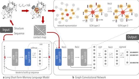 Structure Based Protein Function Prediction Using Graph Convolutional