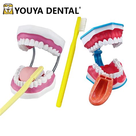 S798282cbfb9e4ebc92a9a3013c8b5598r 