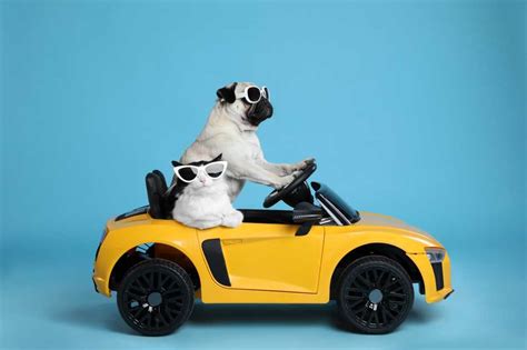 Full Stack Web Development With Htmx And Bun Part 2 Pug Templating