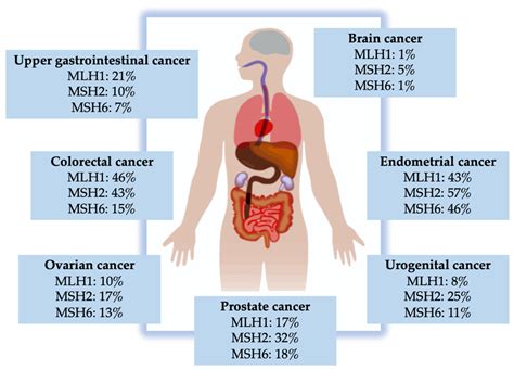 Lynch Syndrome Cancer Risks