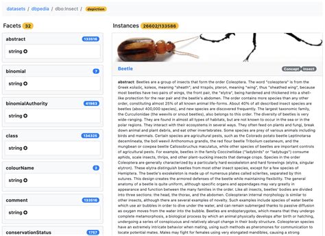 Explore The Semantic Knowledge Graphs Without SPARQL Using Amazon Neptune With Rhizomer AWS