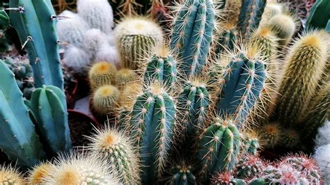 Deserialized Web Security Roundup Slack And Okta Breaches Lax Us