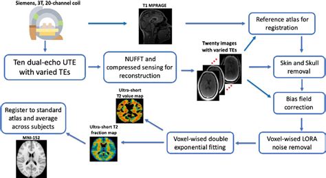 workflow from data acquisition image reconstruction to download