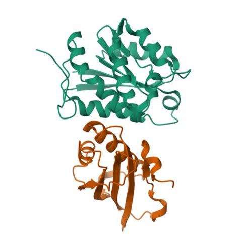 Rcsb Pdb 8cuv Accurate Computational Design Of Genetically Encoded