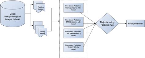 Ensemble Of Adapted Convolutional Neural Networks Cnn Methods For