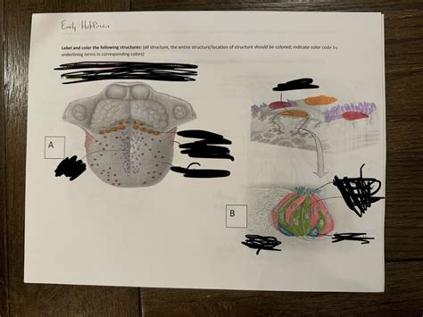 Diagram 1 Diagram Quizlet