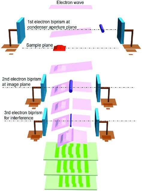 Schematic Illustration Of The Experimental Set Up For PS EH With Download Scientific Diagram