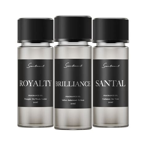 Diffuser Pro 2 2000 Sq Ft Hvac Diffuser Whole House Air Freshener Diffuser Pro 2 2000 Sq Ft Hvac Diffuser Whole House Air Freshener