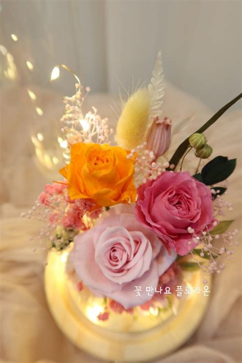 시들지 않는 특별한 꽃 선물 프리저브드플라워 유리돔 무드등 월곶꽃집 플로라온 네이버 블로그