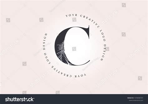 903 Palm Tree C Images Stock Photos Vectors Shutterstock