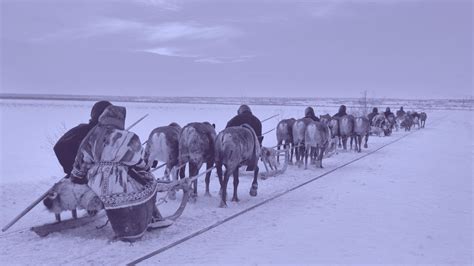 Будущее профессии: книжный иллюстратор