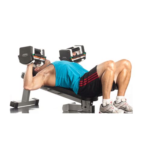 파워블럭 트레빌 평벤치 I 벤치프레스 플랫벤치 헬스벤치 클럽벤치 플러그피트니스