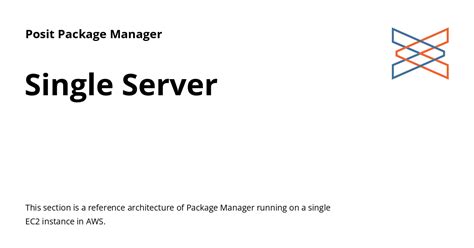 single server posit package manager