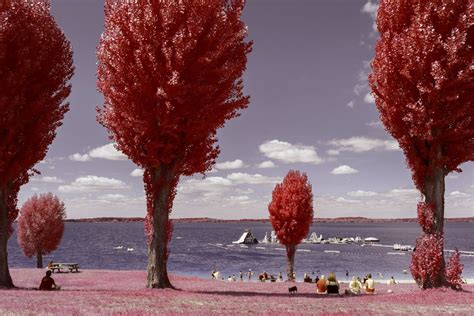 What Makes The Candy Chrome Filter So Special Pierre Louis Ferrer