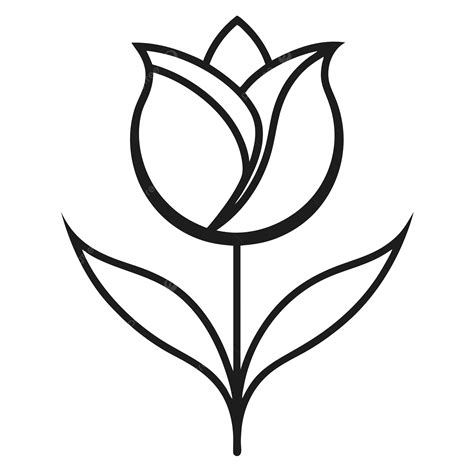 鬱金香狀花朵的黑色輪廓圖 三片花瓣和兩片葉子從莖上延伸出來 郁金香 两片叶子 鬱金香花設計png去背圖片素材免費下載，免摳圖設計圖案下載 Pngtree