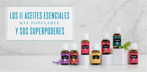 Los 11 Aceites Esenciales Más Populares Y Sus Superpoderes Young