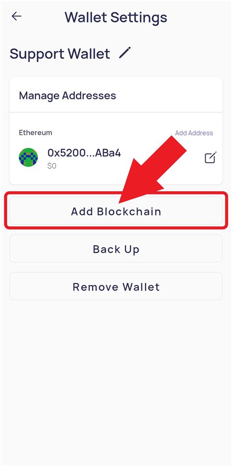Adding A Blockchain Addresses Enjin