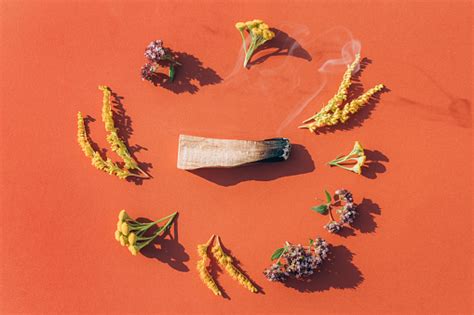 팔로 산토 는 오렌지 레드 배경 위에 향기로운 꽃과 허브로 연기가 자욱합니다 거룩한 나무는 명상과 영적 실천을위한 막대기입니다 방 훈증 의식 선택적 초점 팔로 산토 트리에