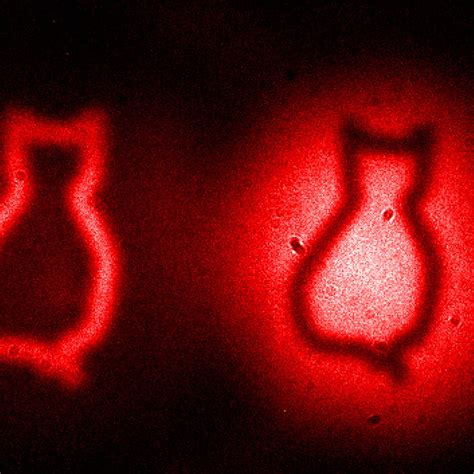 Quantum Entanglement