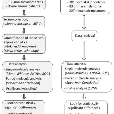 The Cartoon Reports The Study Workflow For The Serum And Tissue Samples Download Scientific
