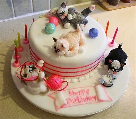 Cat Birthday Cakes Crazy Cat Lady Cake Birthday Cake For Cat