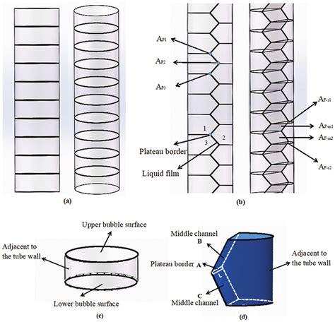 The Structures Of The Foams In The Columns Respectively A And B Download Scientific