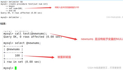 数据库存储过程 csdn博客